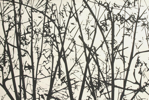 Lokta Print Bare Birch – Hollander's